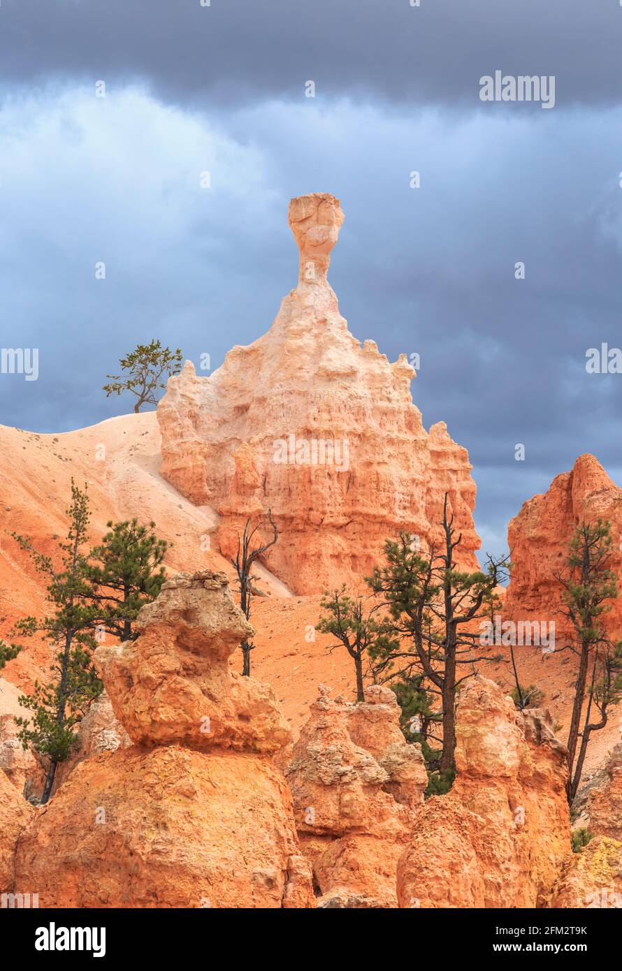 Utah dark sky park hi-res stock photography and images - Alamy