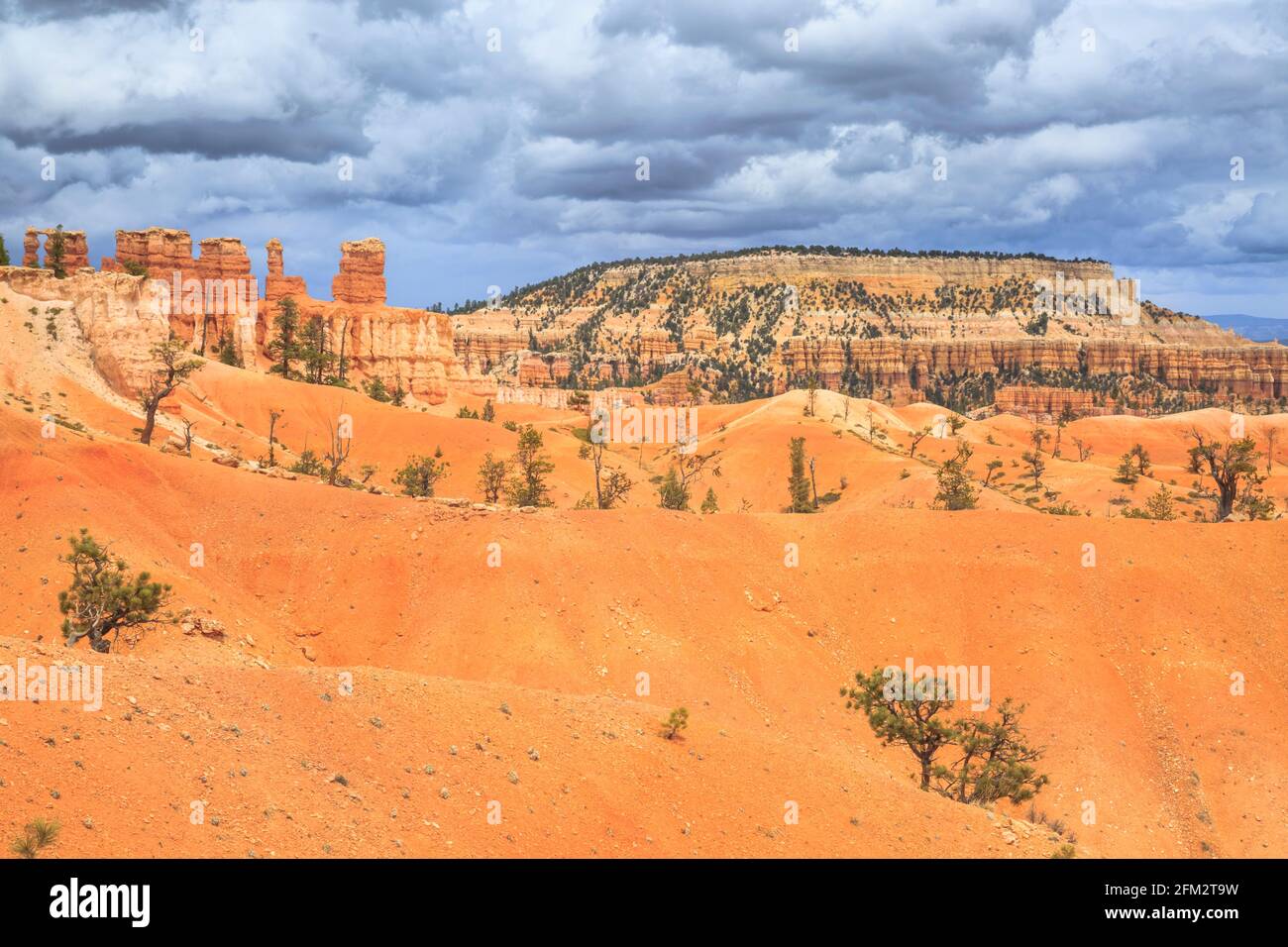 landscape below boat mesa in bryce canyon national park, utah Stock ...