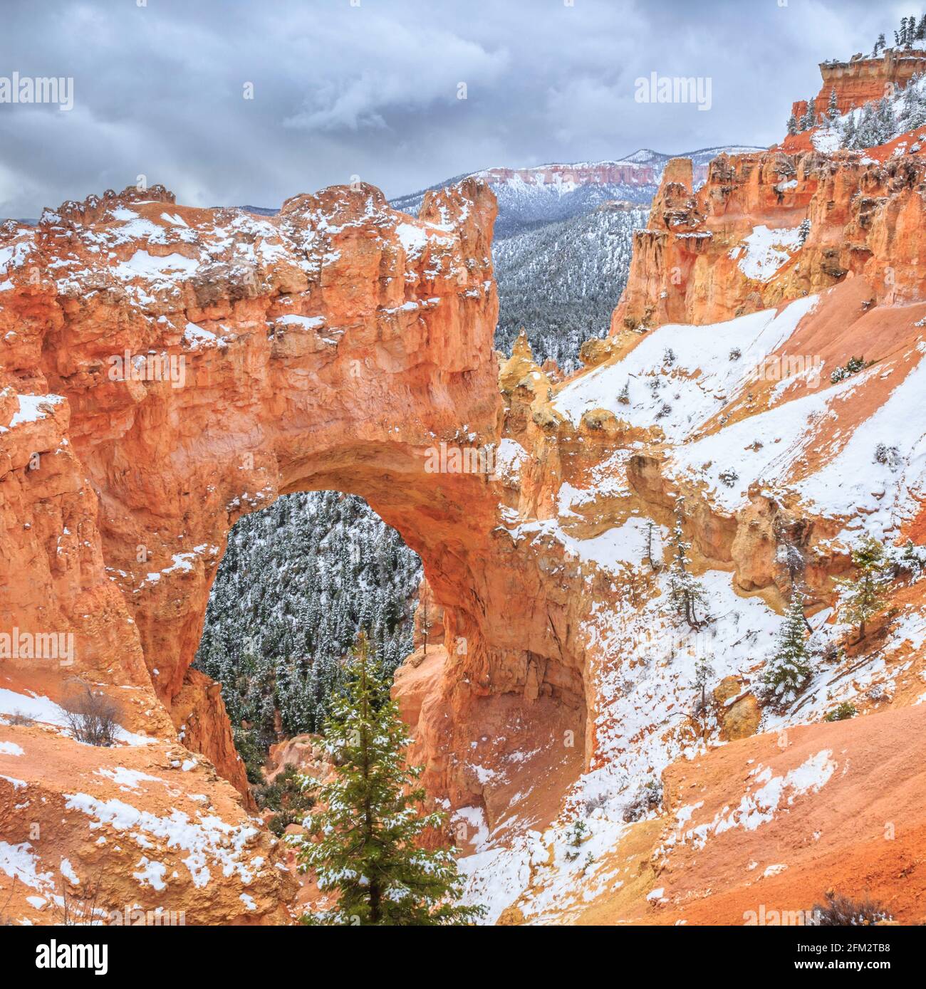 snow on natural bridge (arch) in bryce canyon national park, utah Stock ...