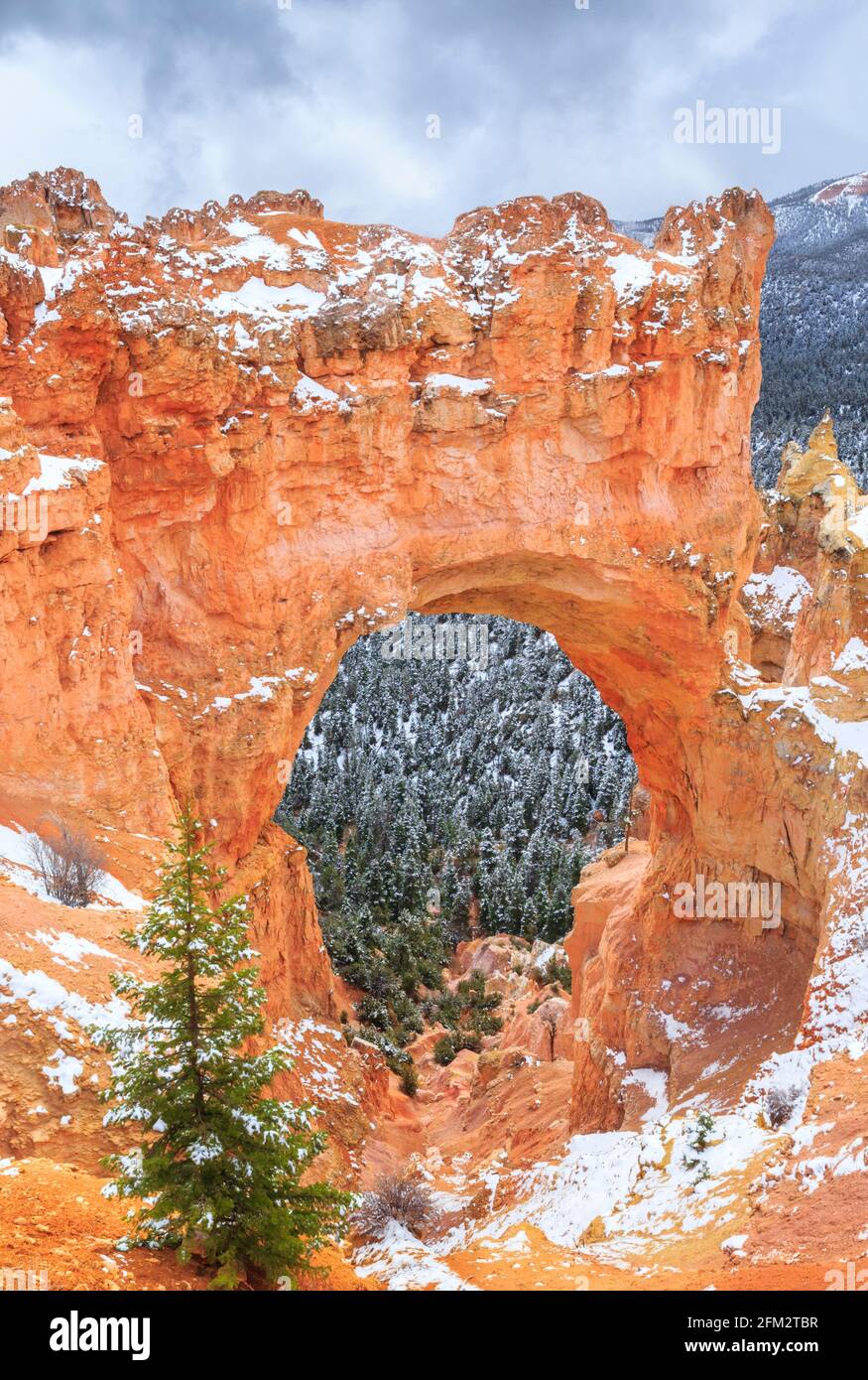 snow on natural bridge (arch) in bryce canyon national park, utah Stock ...