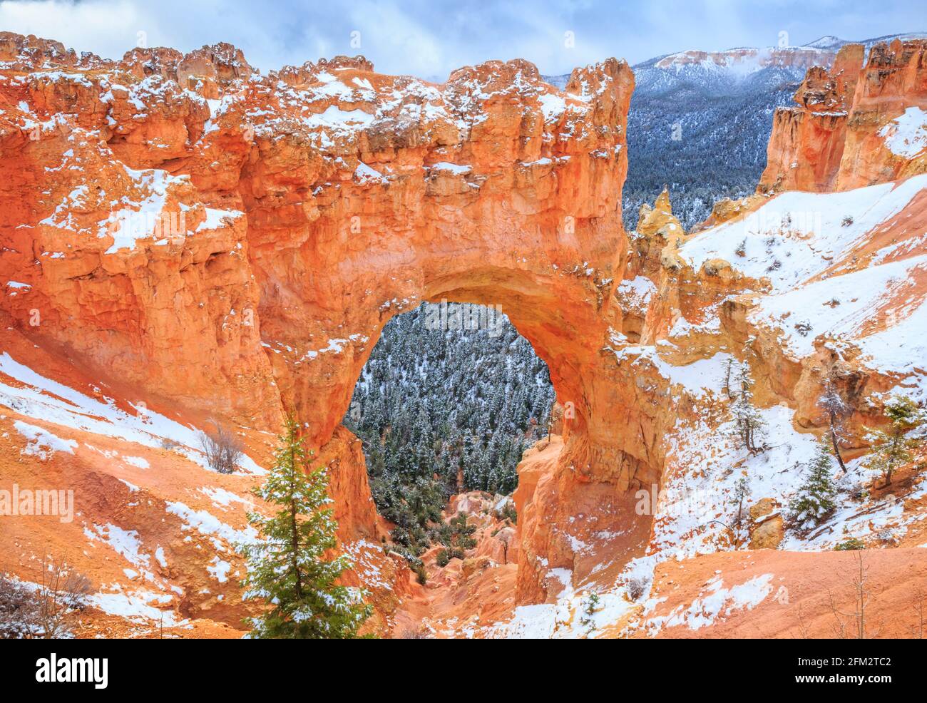 snow on natural bridge (arch) in bryce canyon national park, utah Stock ...