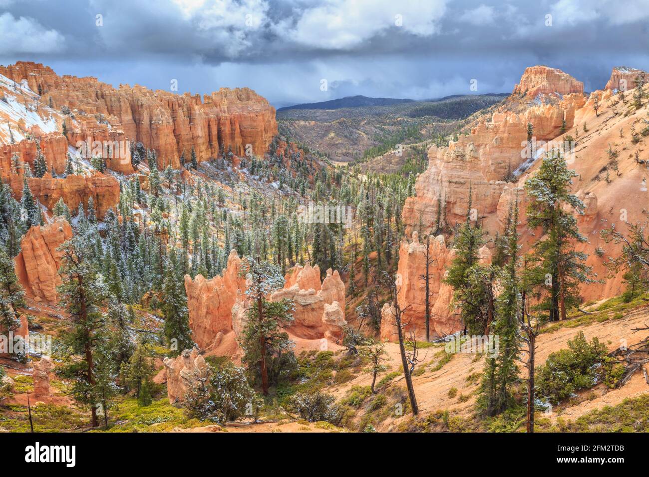 snow on the cliffs of swamp canyon in bryce canyon national park, utah ...