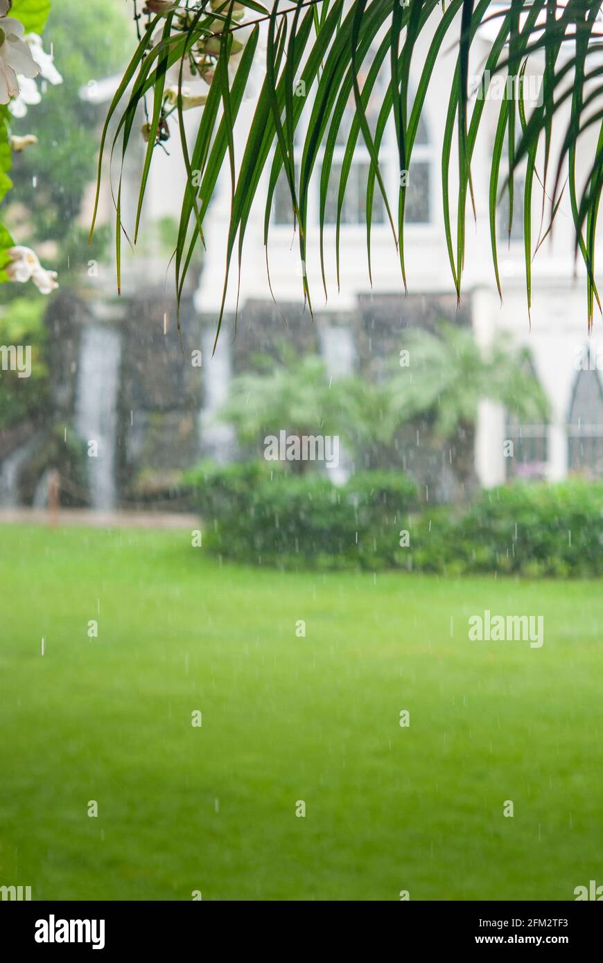 Rain pouring at the site of a mansion in the tropics Stock Photo - Alamy