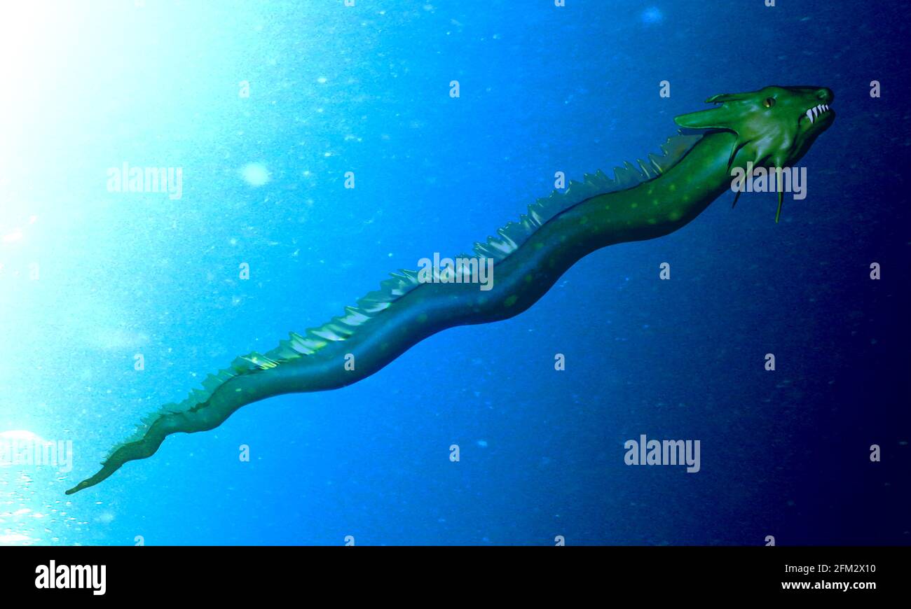 Leviathan sea monster hi-res stock photography and images - Alamy