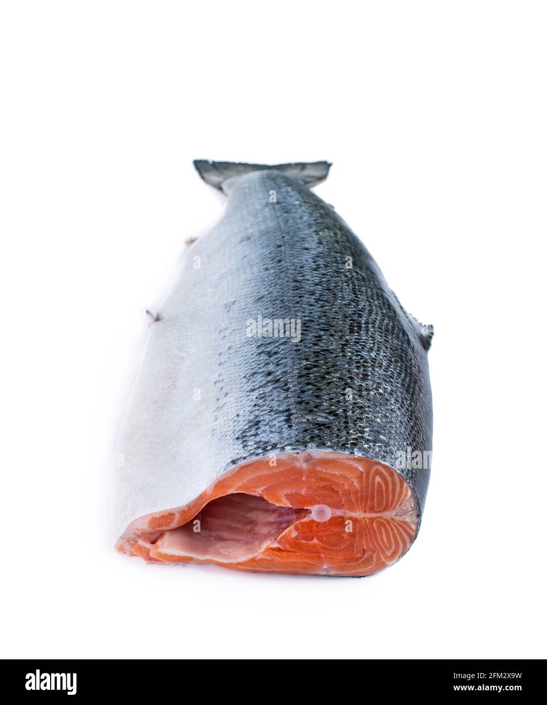 Raw headless salmon fish isolated on white background Stock Photo - Alamy