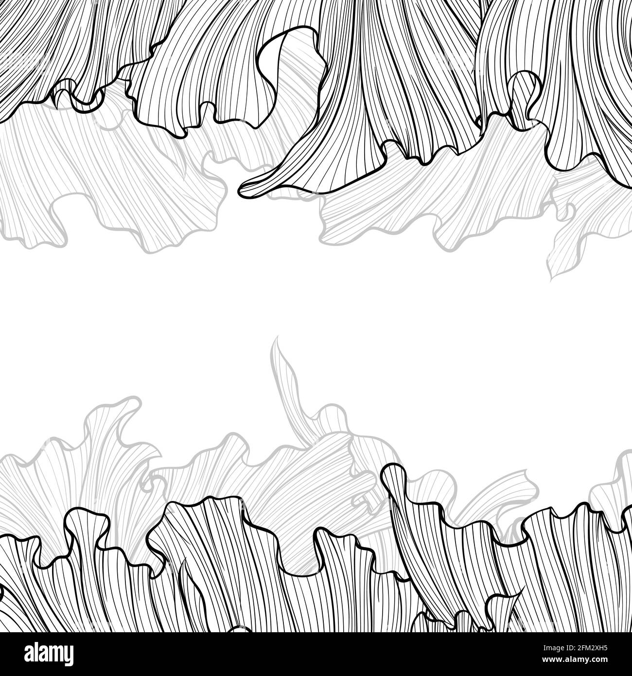 Artistic Border Lines