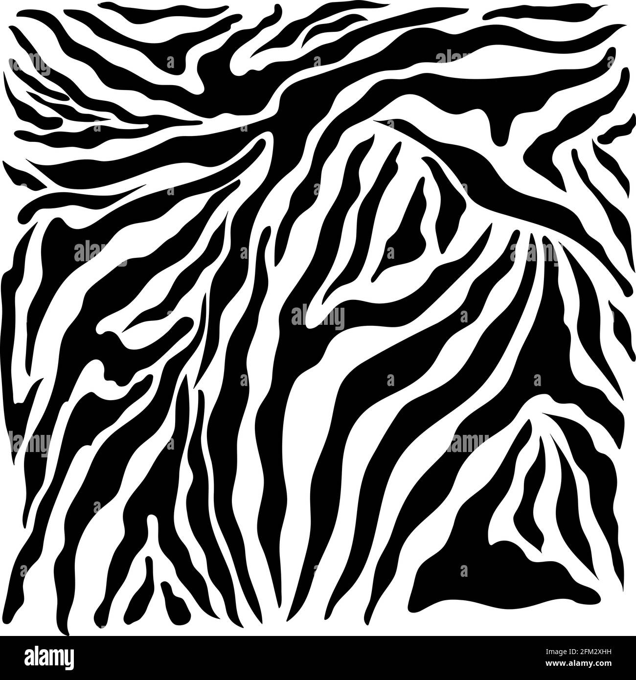 Abstract geometric pattern on the skin of a zebra Stock Vector Image ...