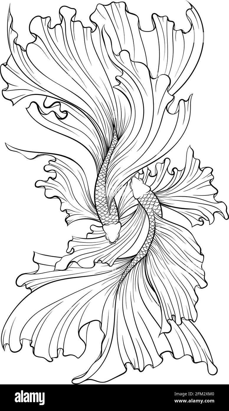 Two fish swimming Black and White Stock Photos & Images - Alamy