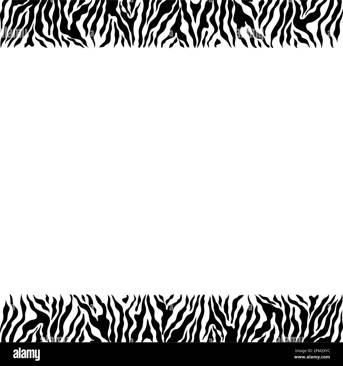 Abstract geometric frame on the skin of a zebra Stock Vector Image ...