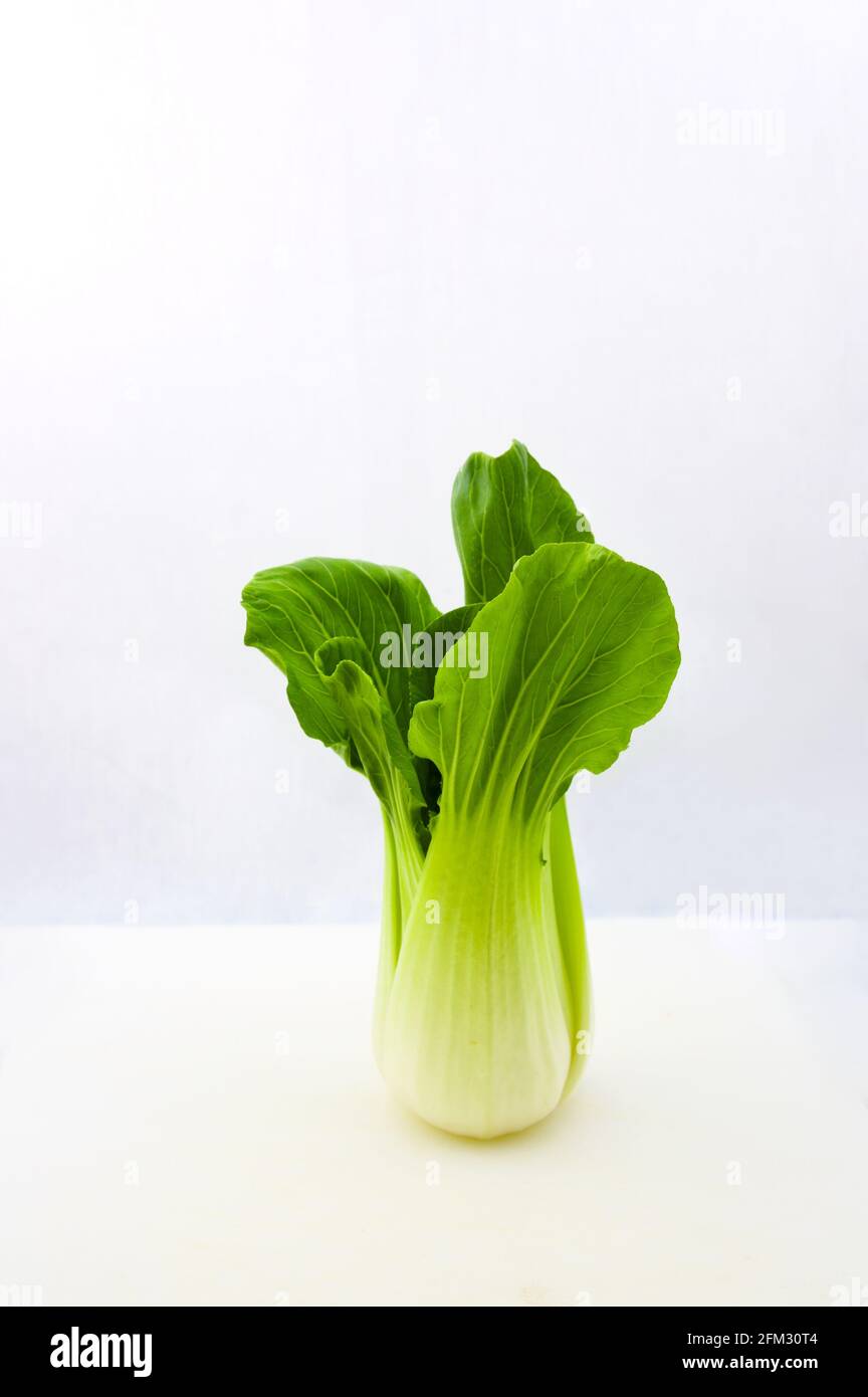 Vertical image of a Chinese cabbage on white background and copy space ...