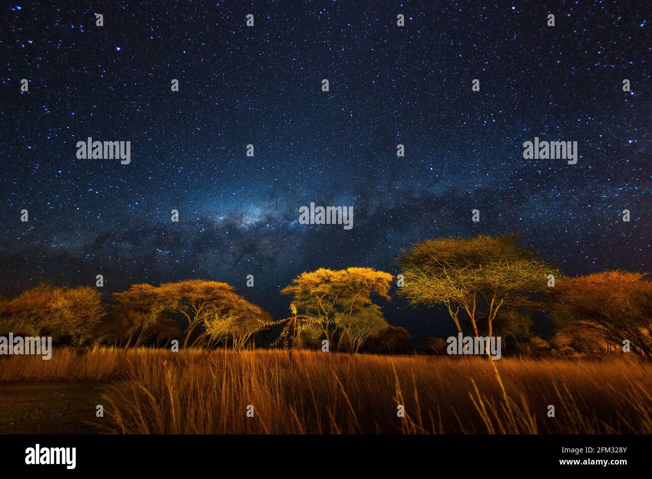 Milky way night sky over African plains, Namibia Stock Photo - Alamy
