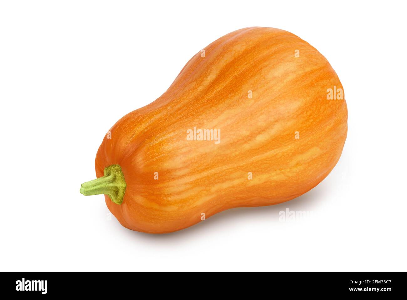 butternut squash isolated on white background with clipping path and ...