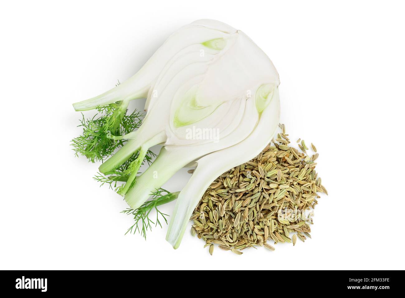 fresh fennel bulb with seed isolated on white background with clipping ...