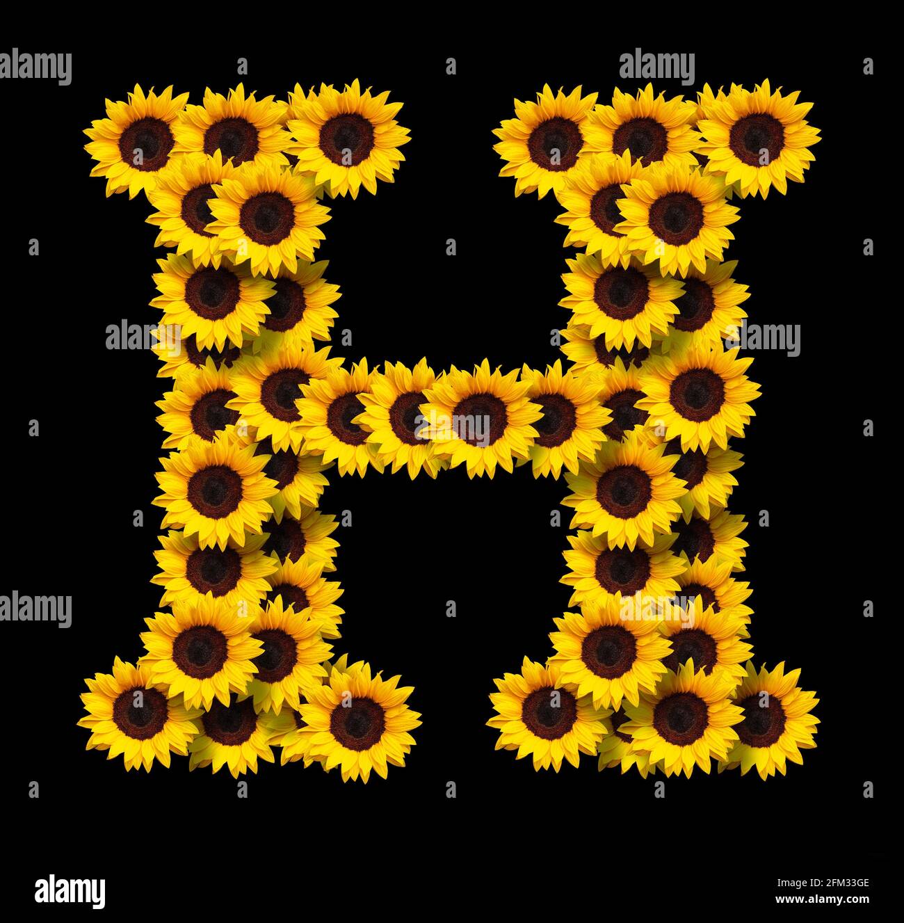 Letter h flowers hi-res stock photography and images - Alamy
