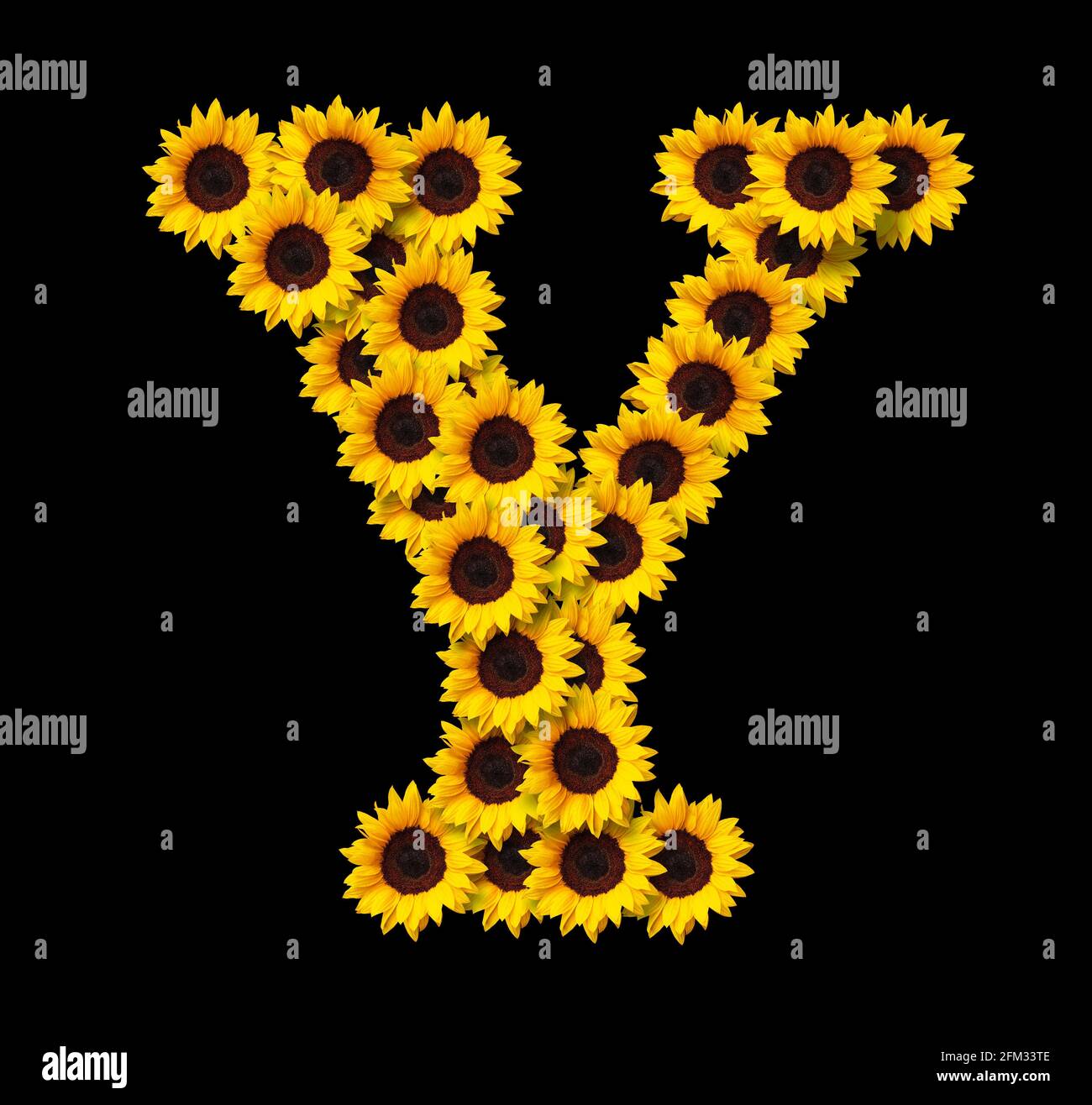 Y capital letter hi-res stock photography and images - Alamy