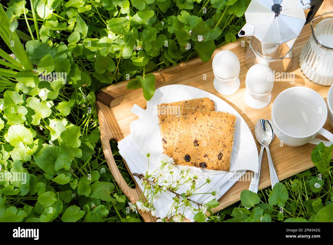 Breakfast for two on the lawn in the garden Stock Photo - Alamy
