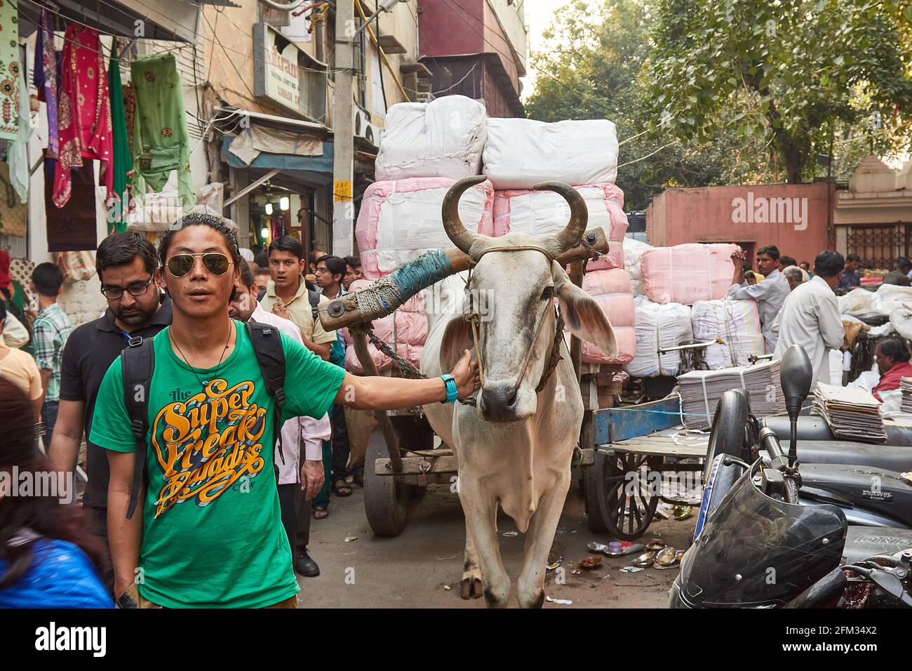 Indian cow with horns pulling a cart of large packages through a busy ...