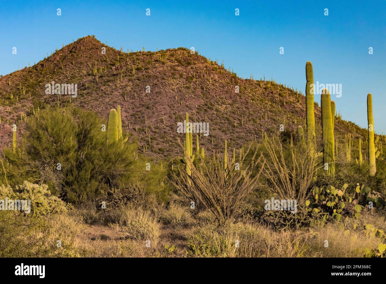 Pima county loop hi-res stock photography and images - Alamy