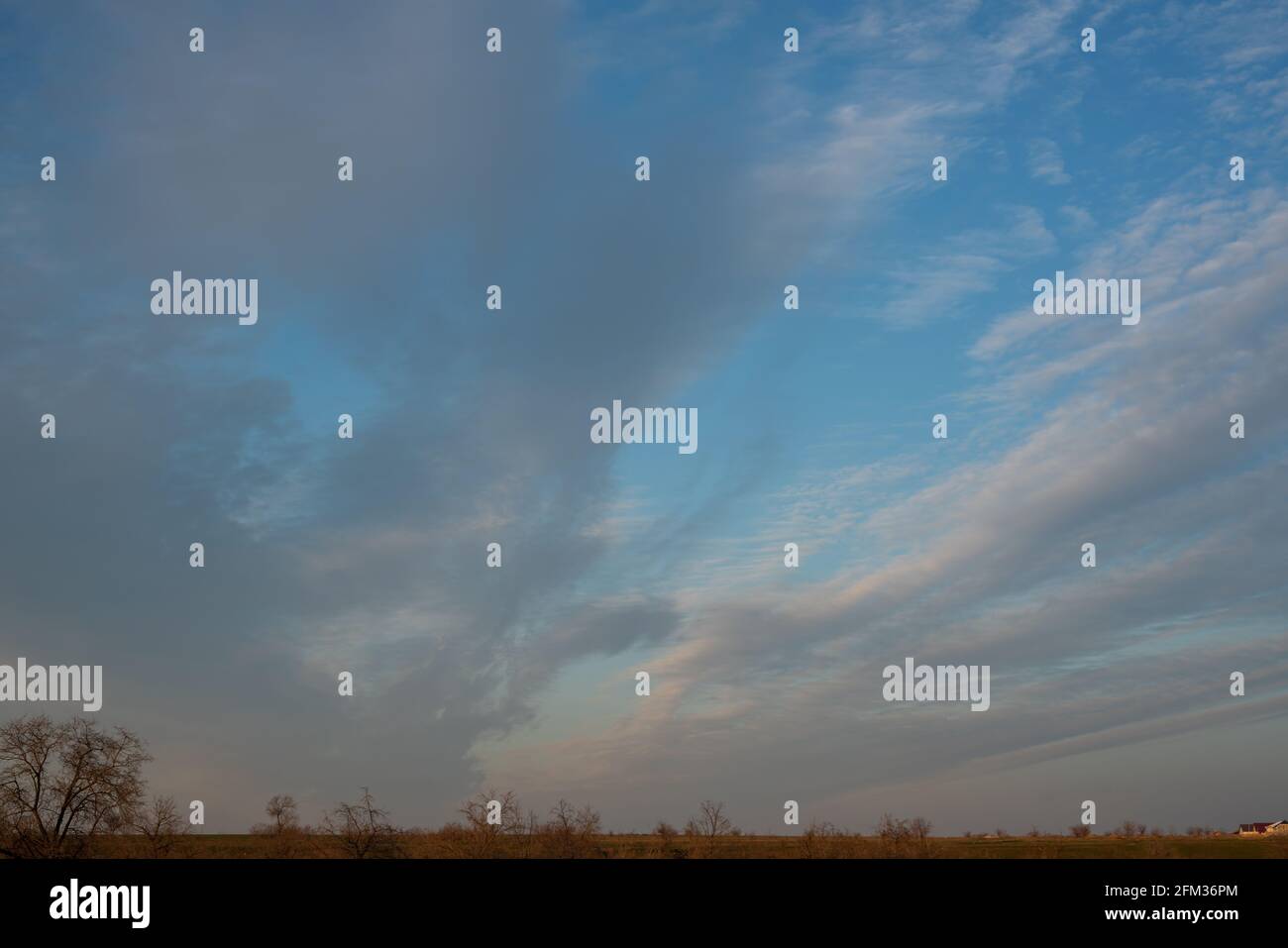 Beautiful sky at sunset and a thin line of the horizon. Creative ...