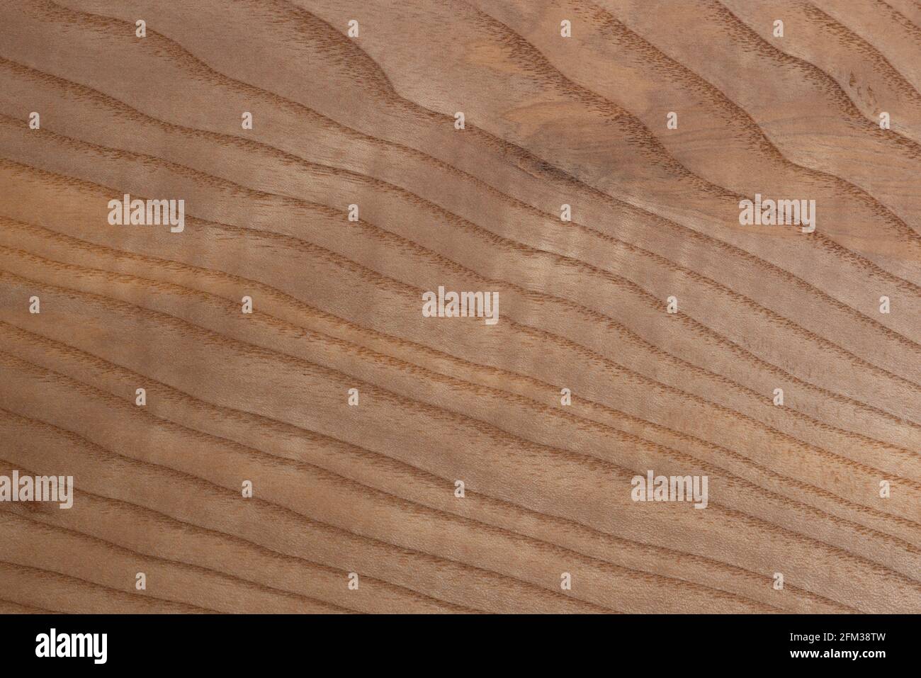 Natural ash texture. Creative vintage background. Tangential cut Stock ...