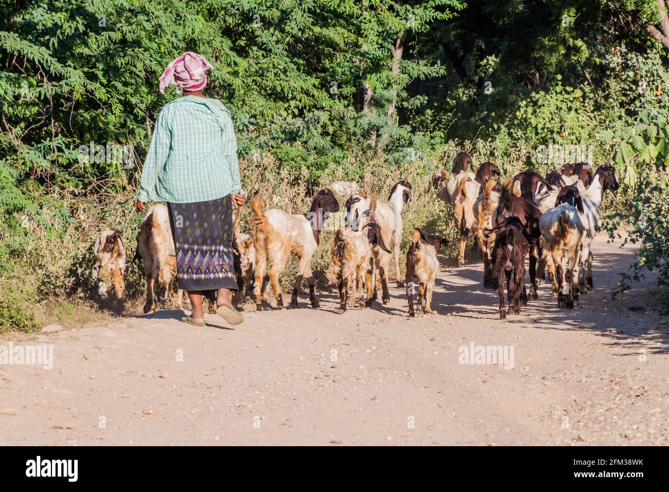 Female goat herder hi-res stock photography and images - Alamy