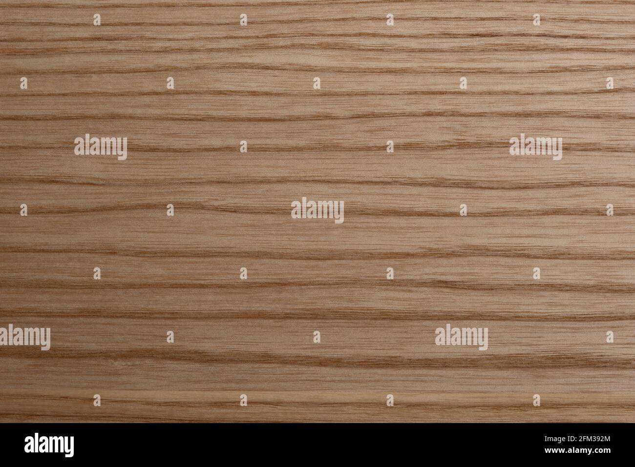Natural ash texture. Creative vintage background.Radial cut Stock Photo ...