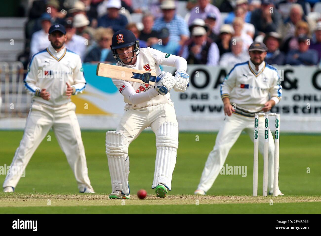 Adam Wheater in batting action for Essex during Yorkshire CCC vs Essex ...