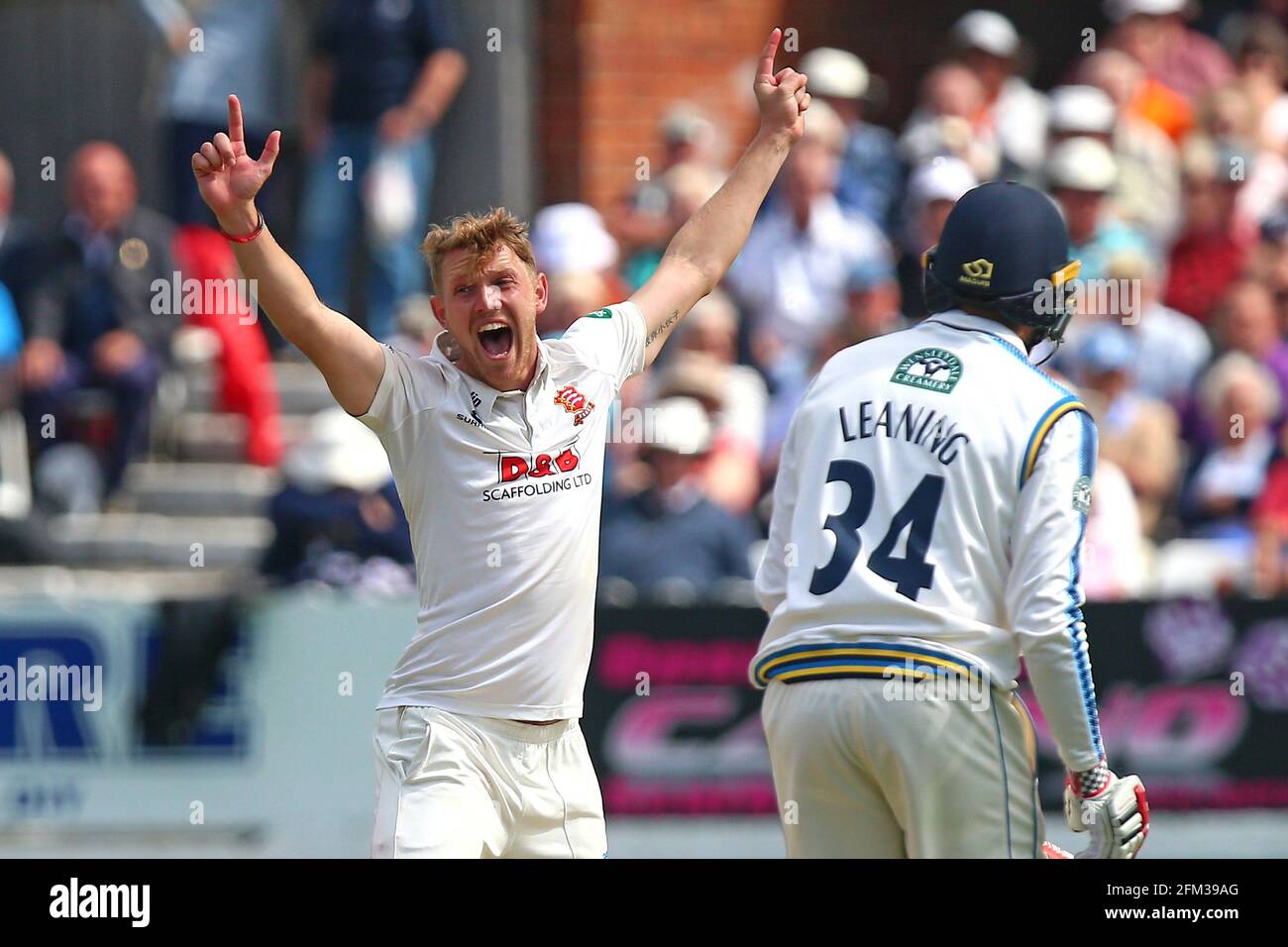 Jamie Porter of Essex claims the wicket of Andrew Hodd during Yorkshire ...
