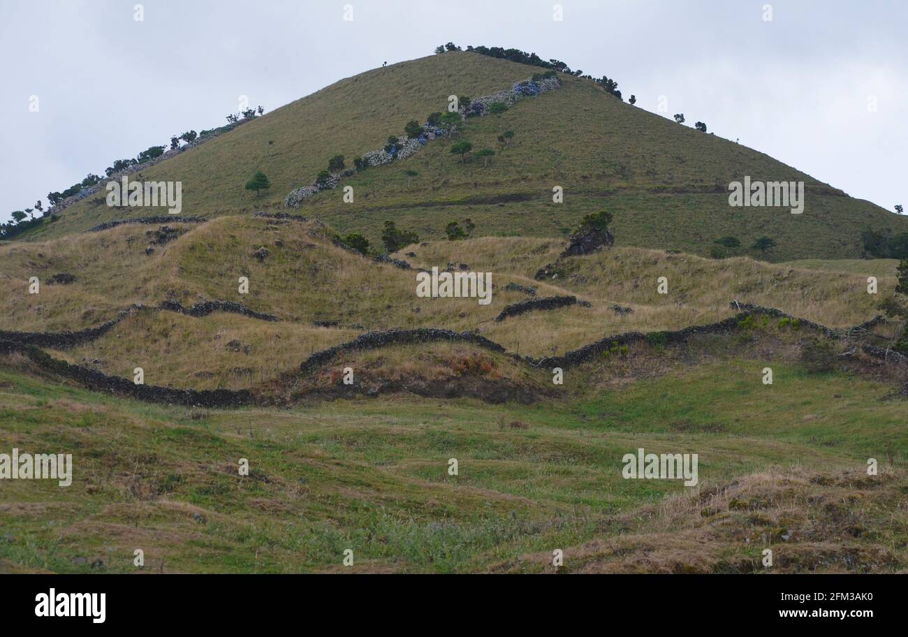 Fields in the foothills of Pico volcano, Azores archipelago Stock Photo ...