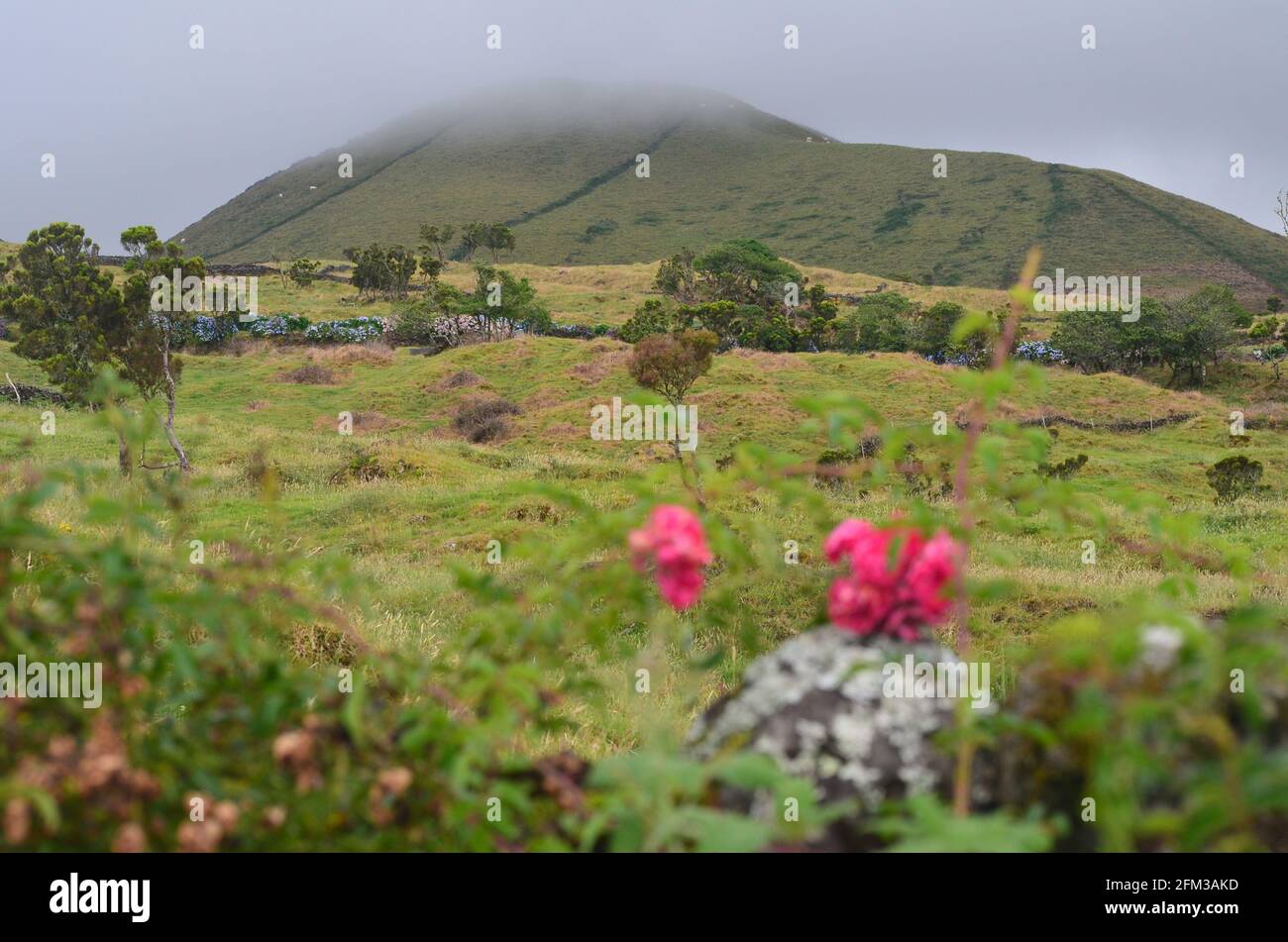 Fields in the foothills of Pico volcano, Azores archipelago Stock Photo ...
