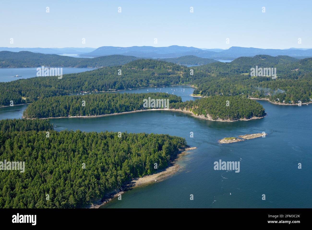 Curlew island hi-res stock photography and images - Alamy