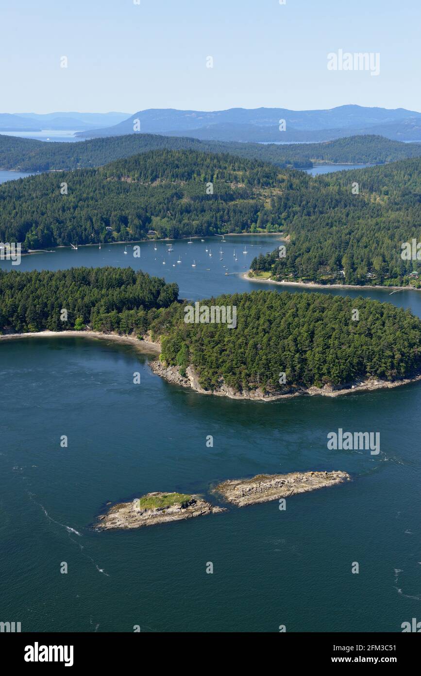 Curlew island hi-res stock photography and images - Alamy