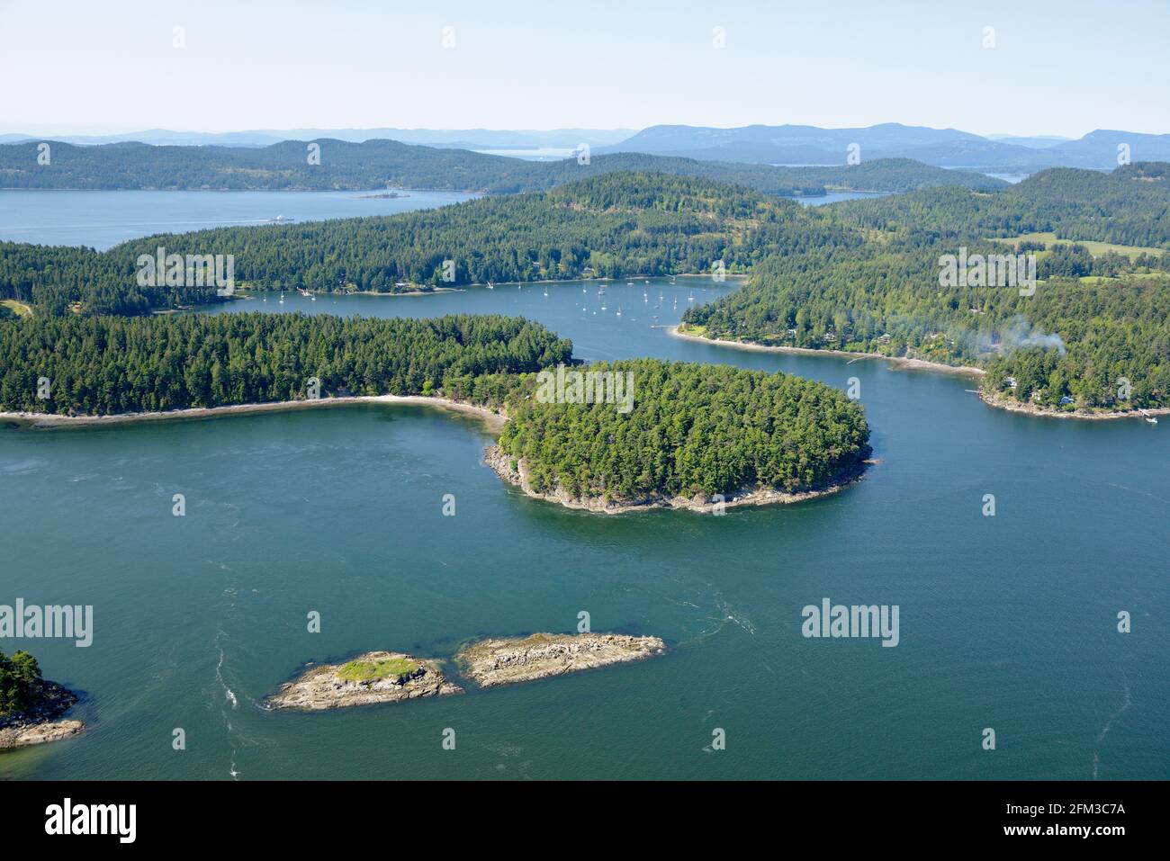 Curlew island hi-res stock photography and images - Alamy