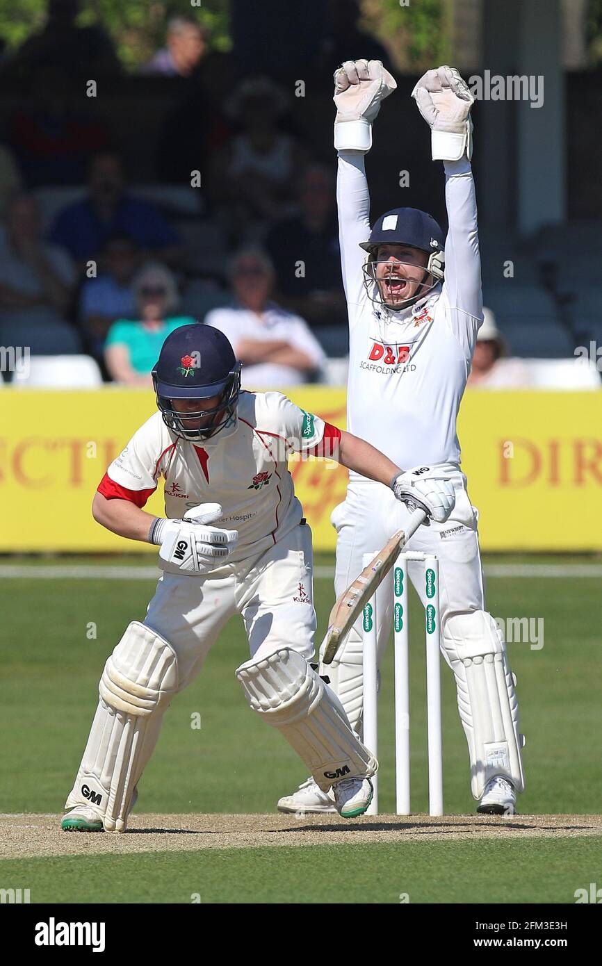 Adam Wheater of Essex with an appeal for the wicket of Alex Davies ...