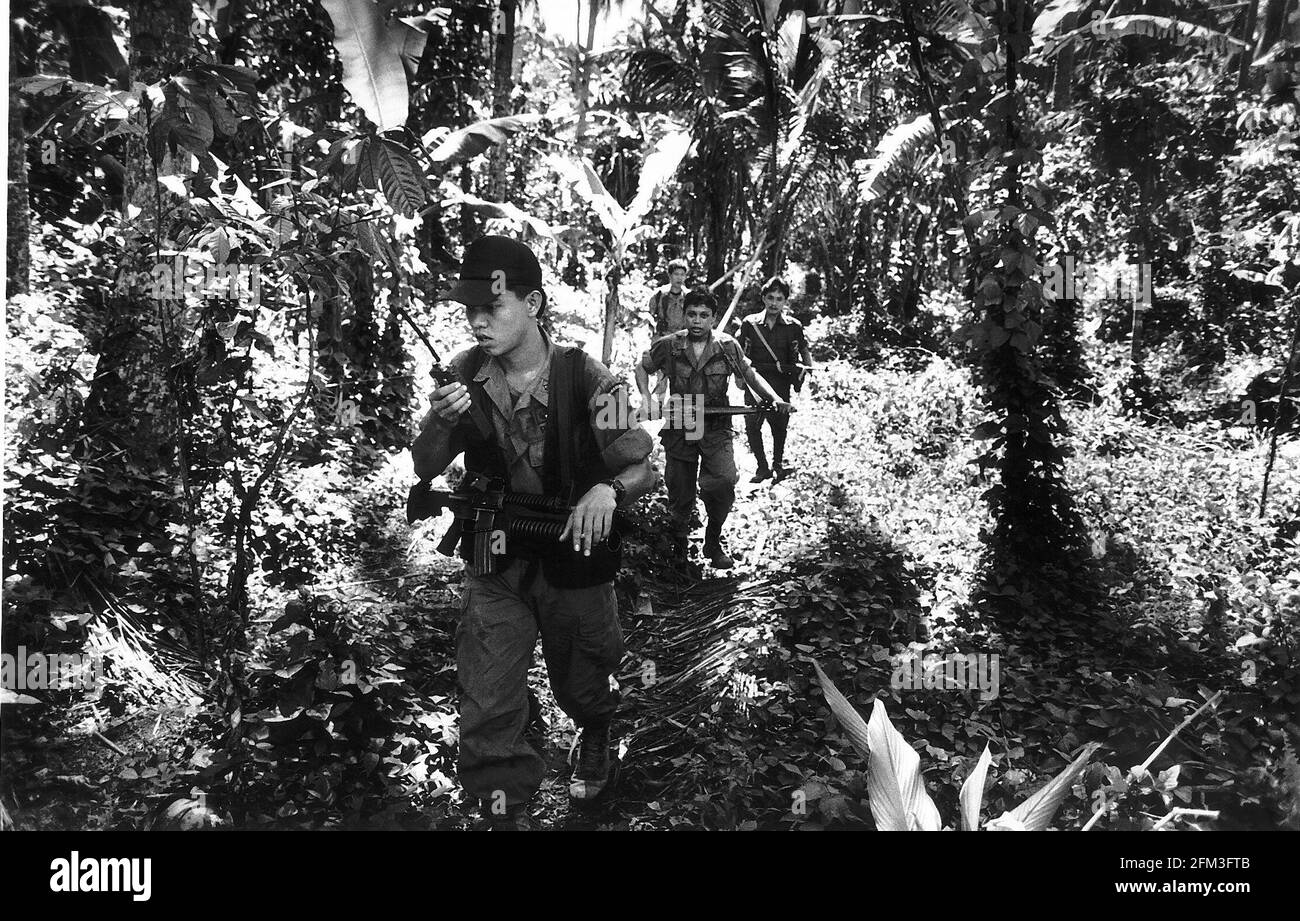 Jungle Army Patrol in the Philippines Stock Photo - Alamy