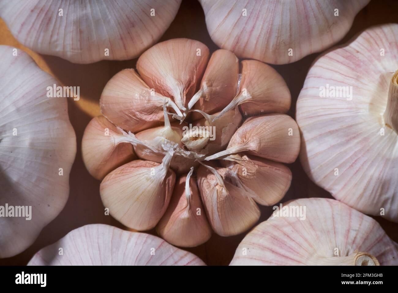 cloves of garlic from the garden. Fresh food without additives Stock ...