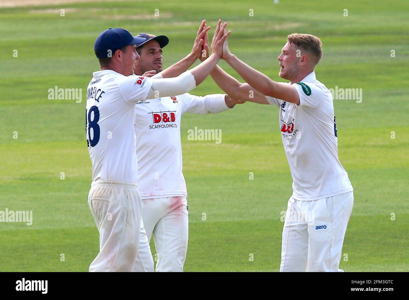 Jamie Porter of Essex celebrates taking the wicket of Steven Davies ...