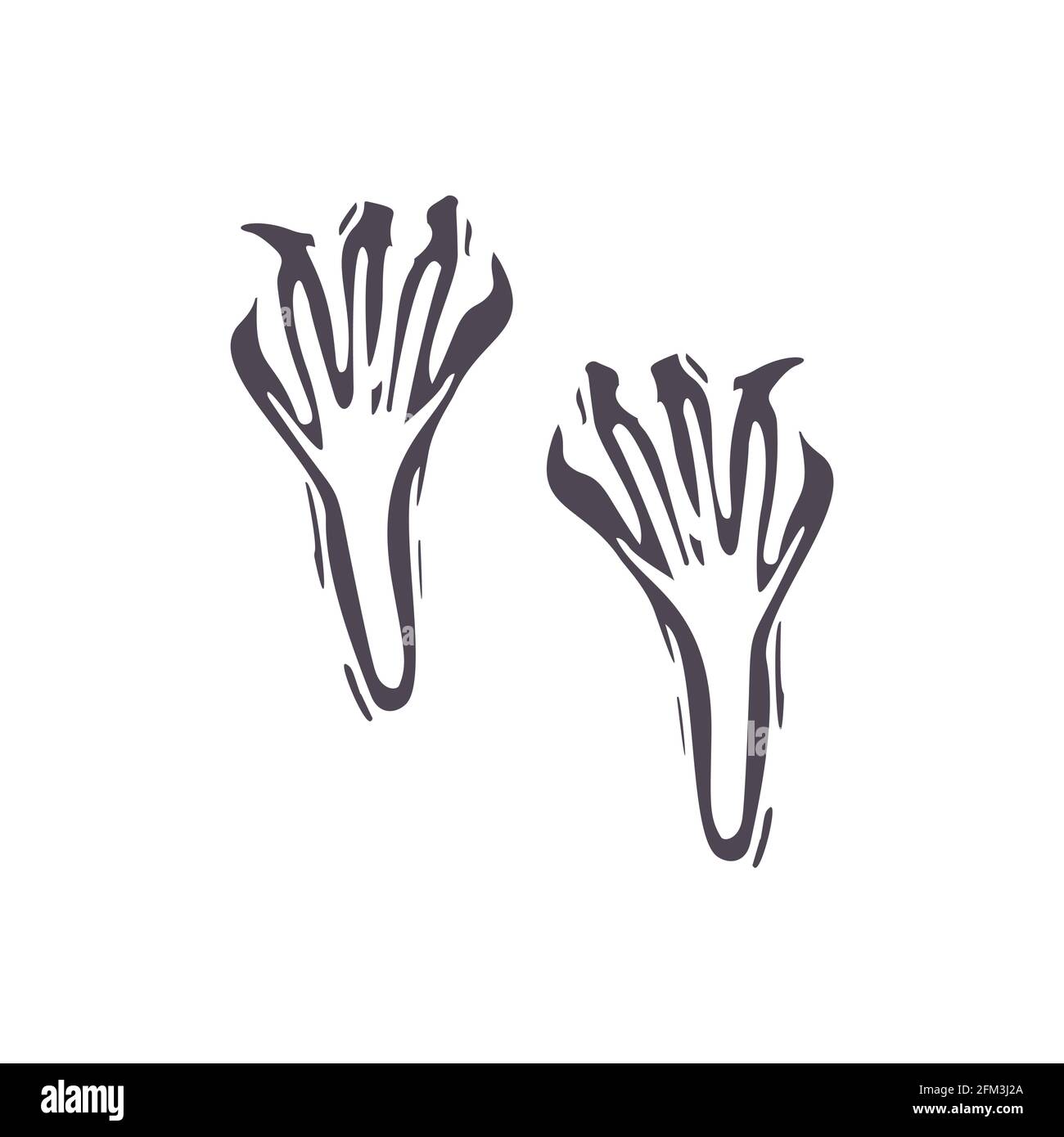 Squirrel paw print hi-res stock photography and images - Alamy