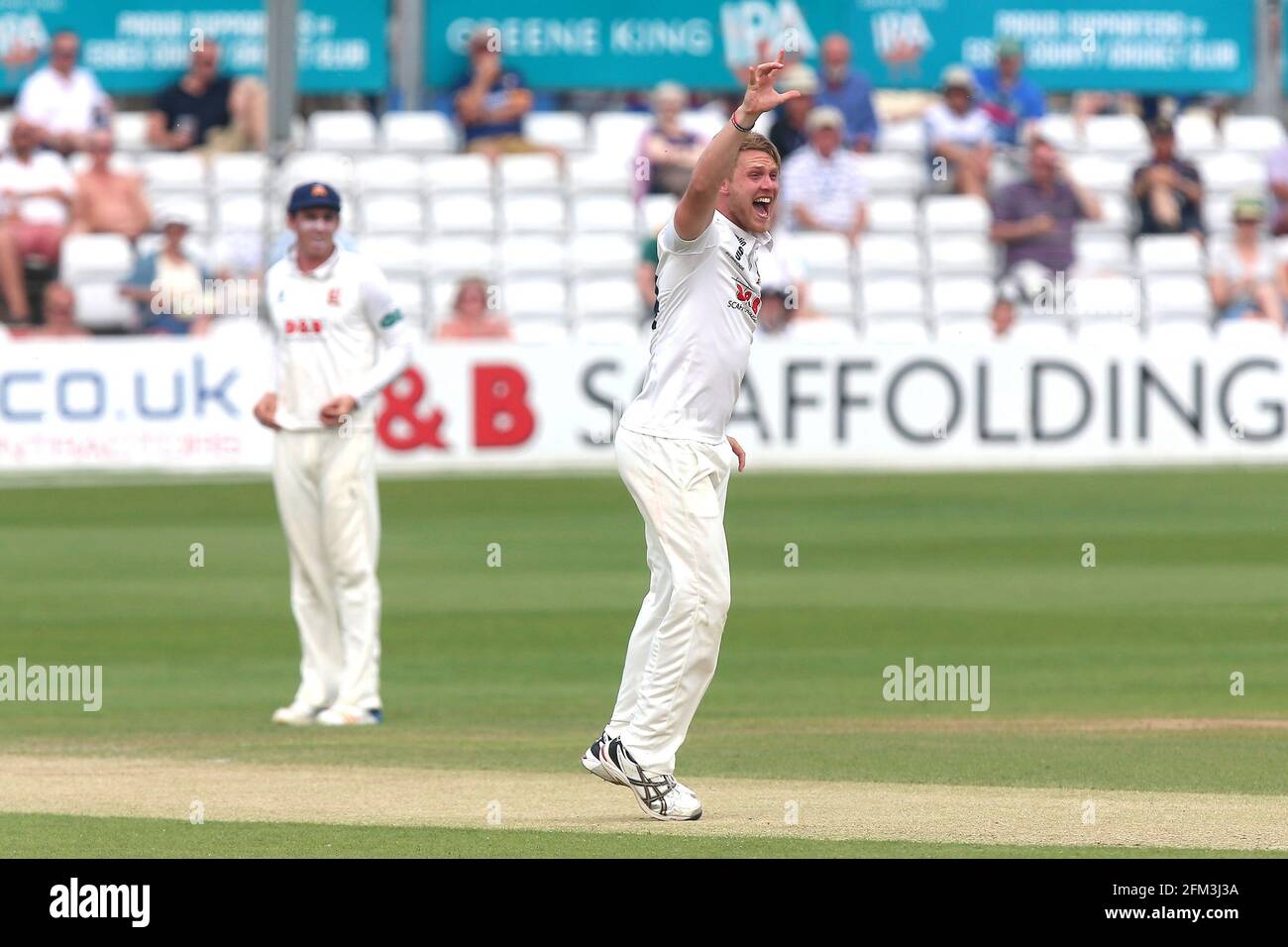 Jamie Porter of Essex with an appeal during Essex CCC vs Surrey CCC ...