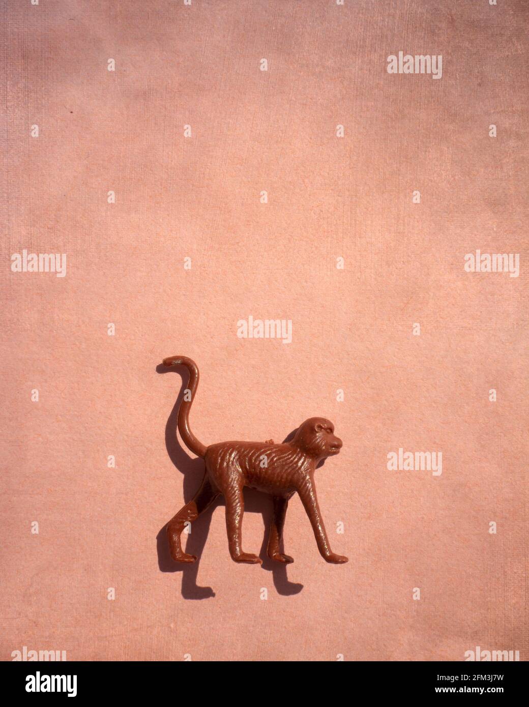 Closeup shot of a toy monkey on pink background Stock Photo - Alamy