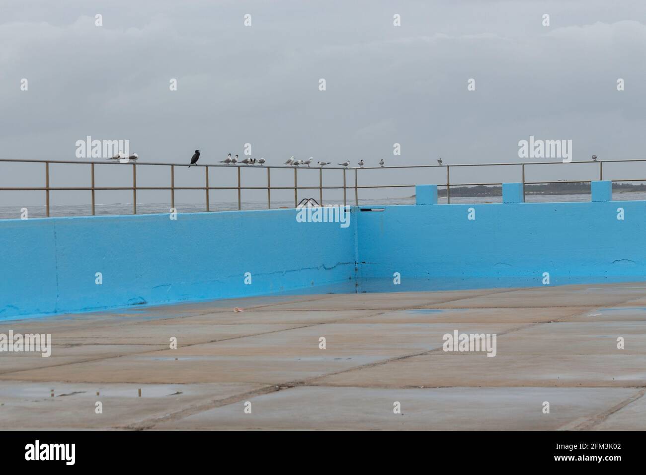 Empty swimming pool Stock Photo - Alamy