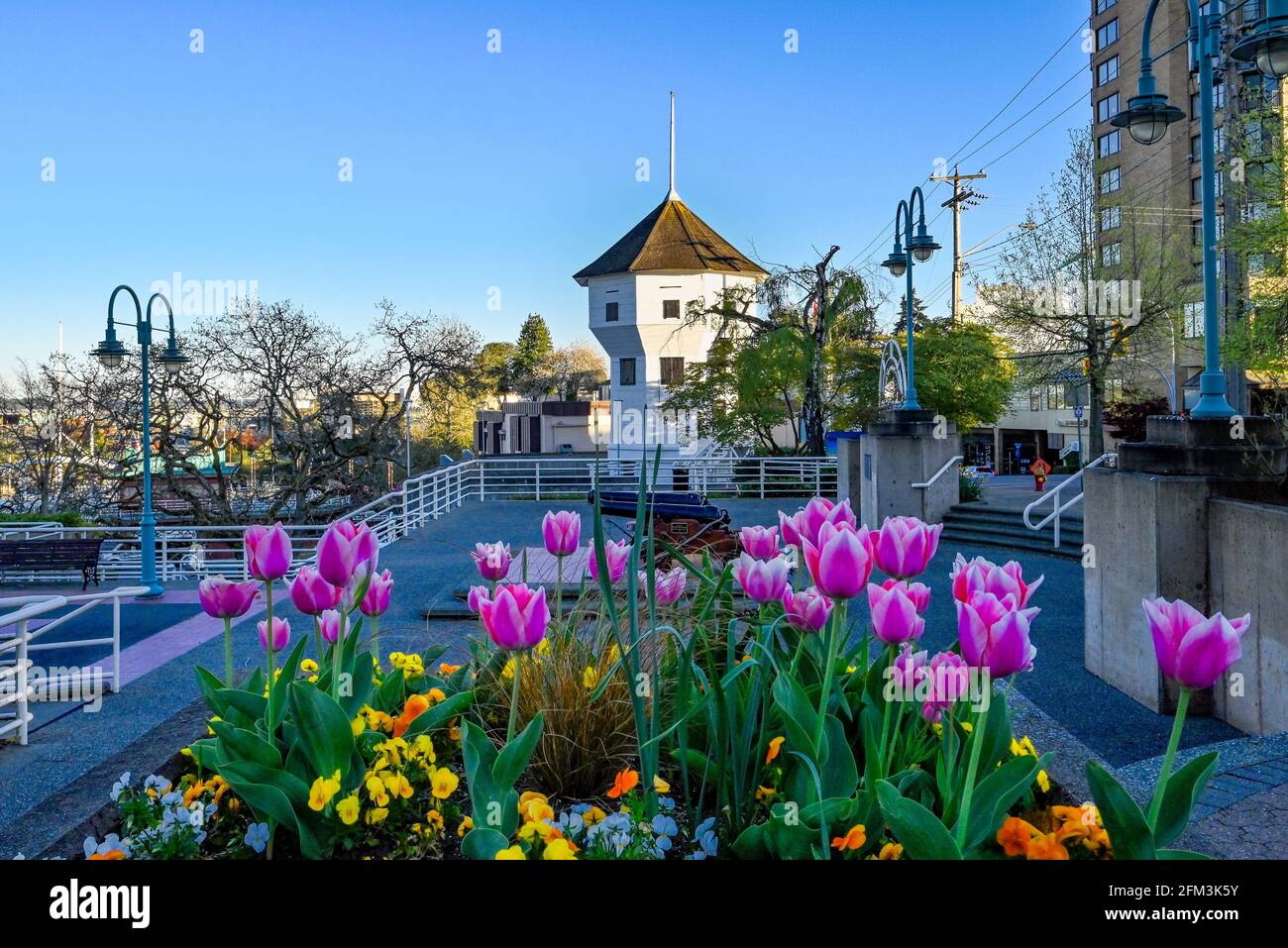The Bastion, spring flowers, Bastion Square Park, Nanaimo, British ...