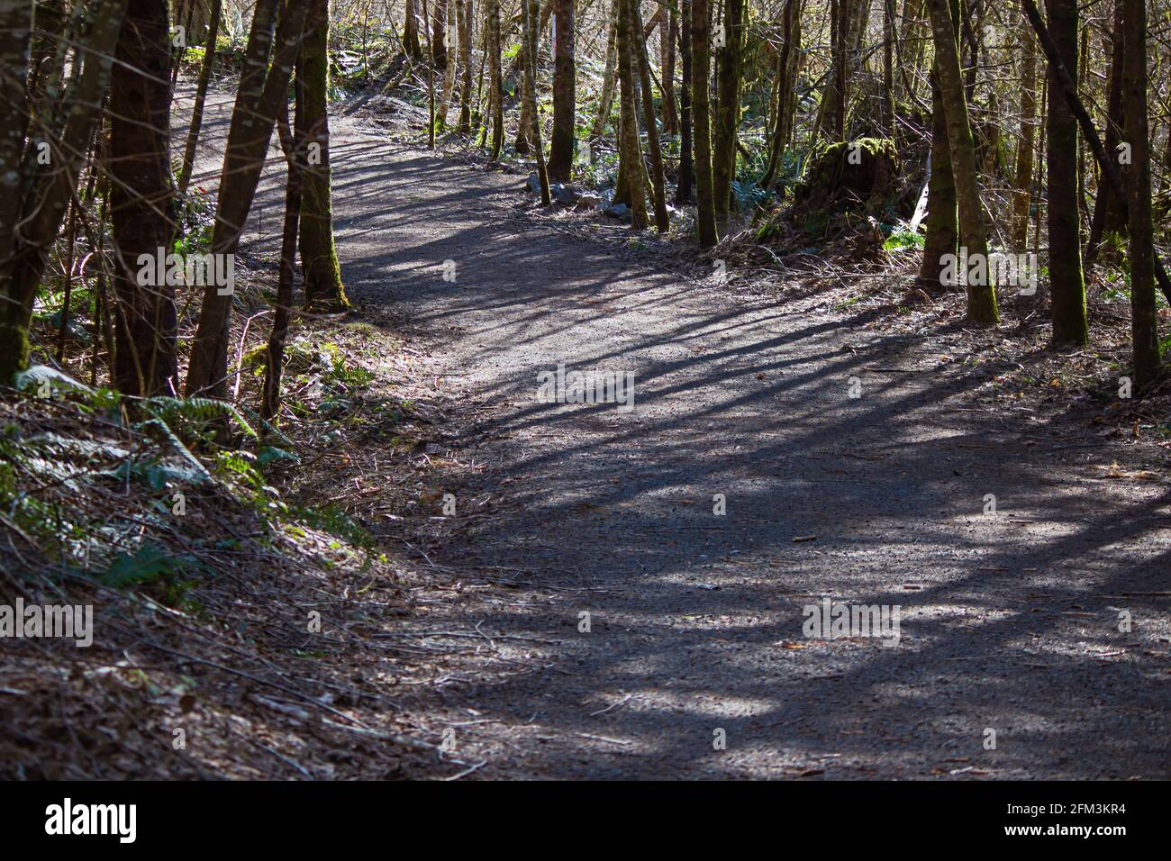 Serene hiking trail hi-res stock photography and images - Alamy