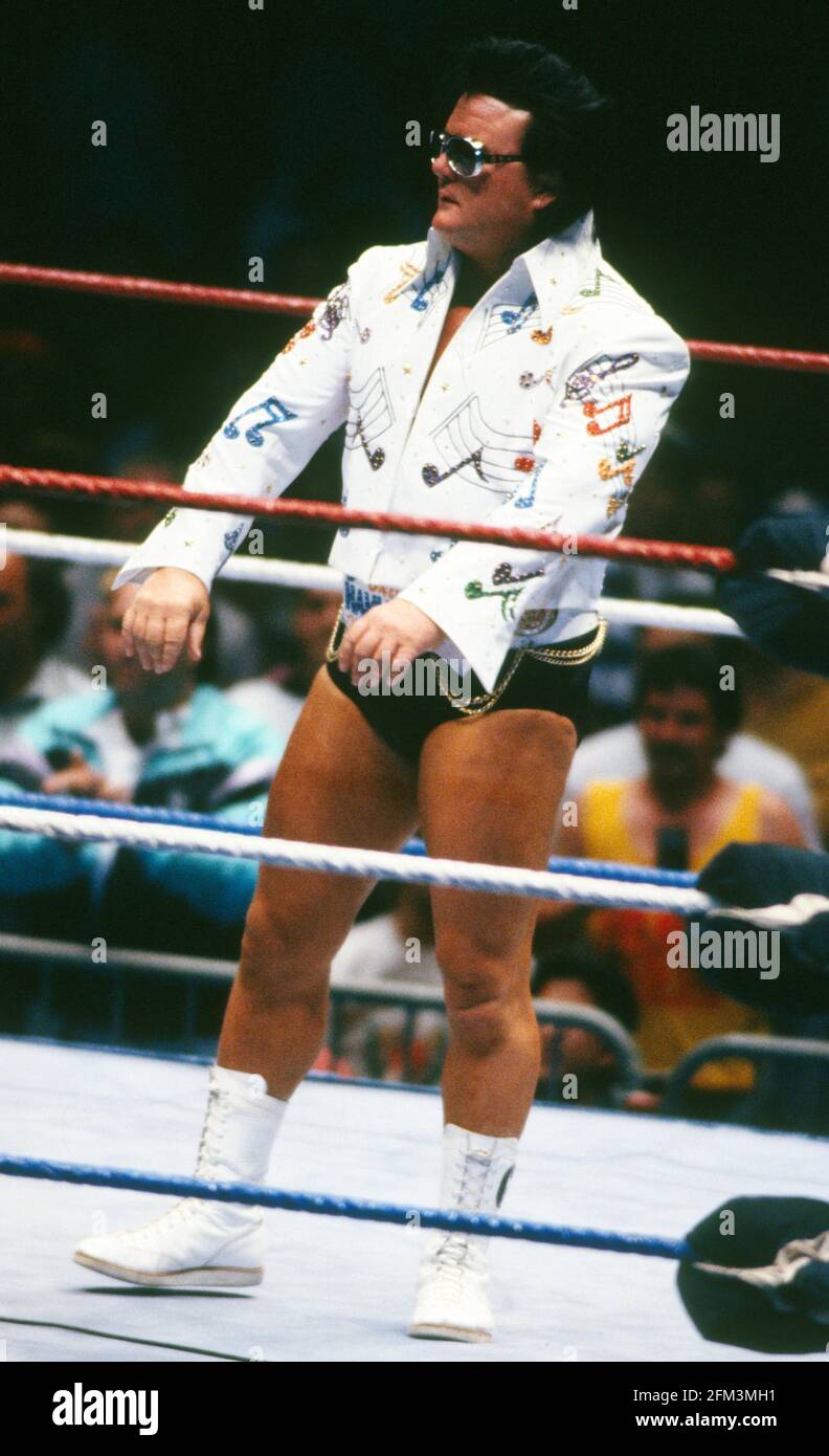 Greg Valentine 1990 By John Barrett/PHOTOlink /MediaPunch Stock Photo ...