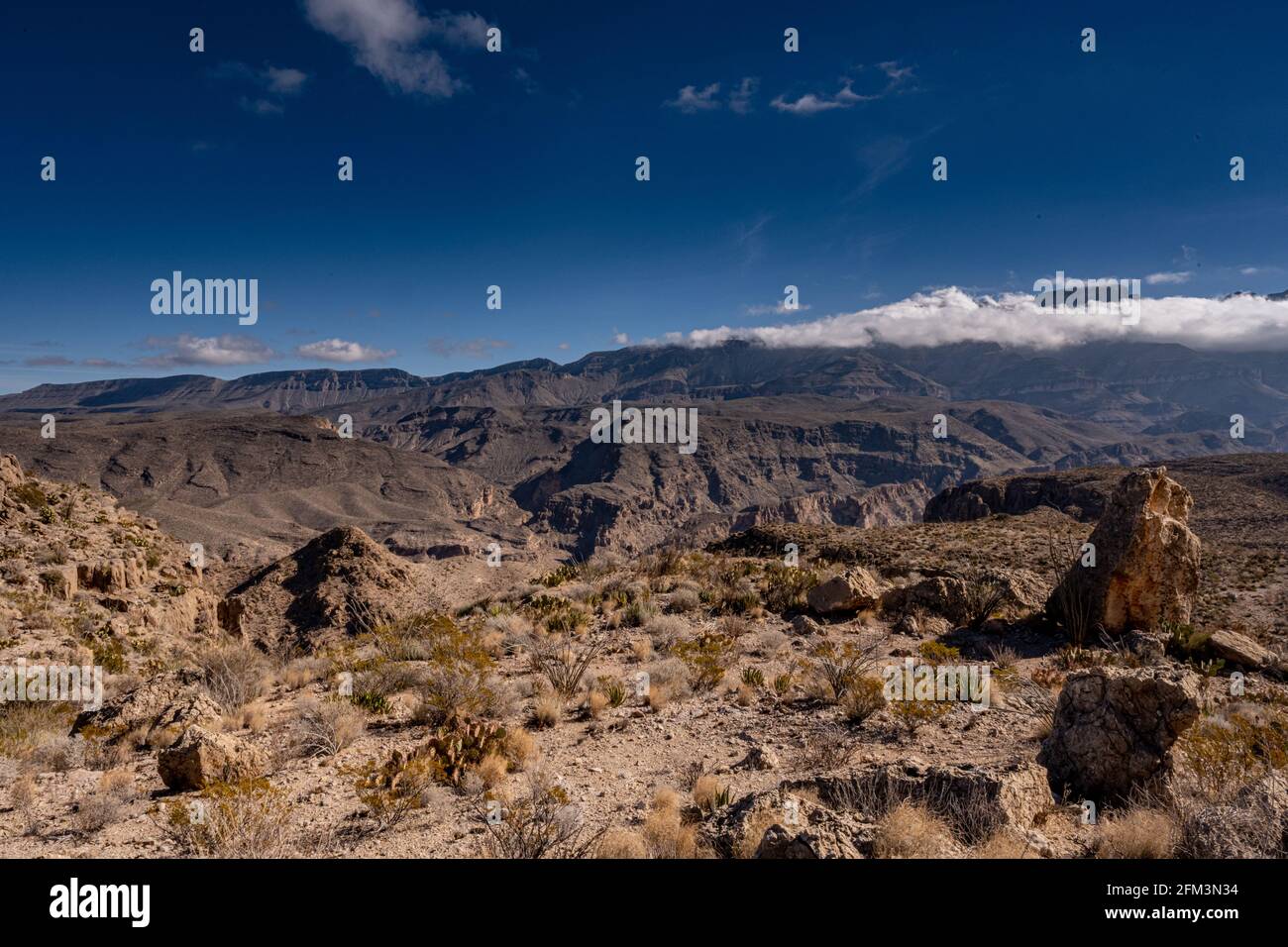 Marufo vega trail hi-res stock photography and images - Alamy