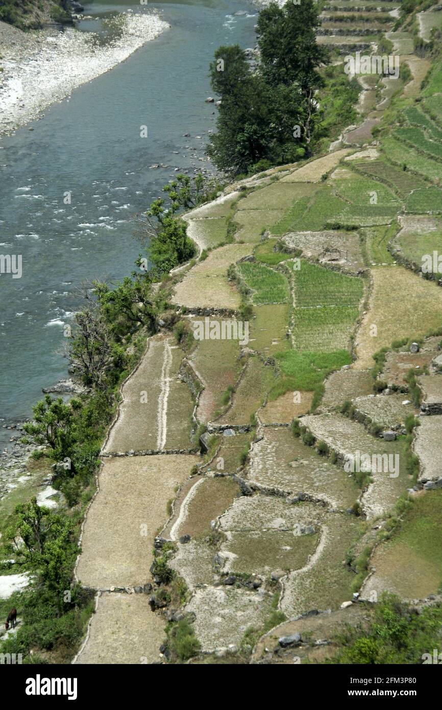 High angle shot at step cultivation on mountain slopes to conserve soil ...