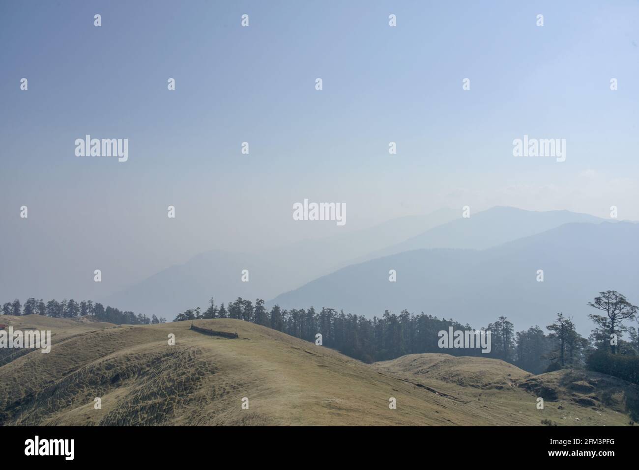 Beautiful landscape field with pine forest on a silhouette mountain ...