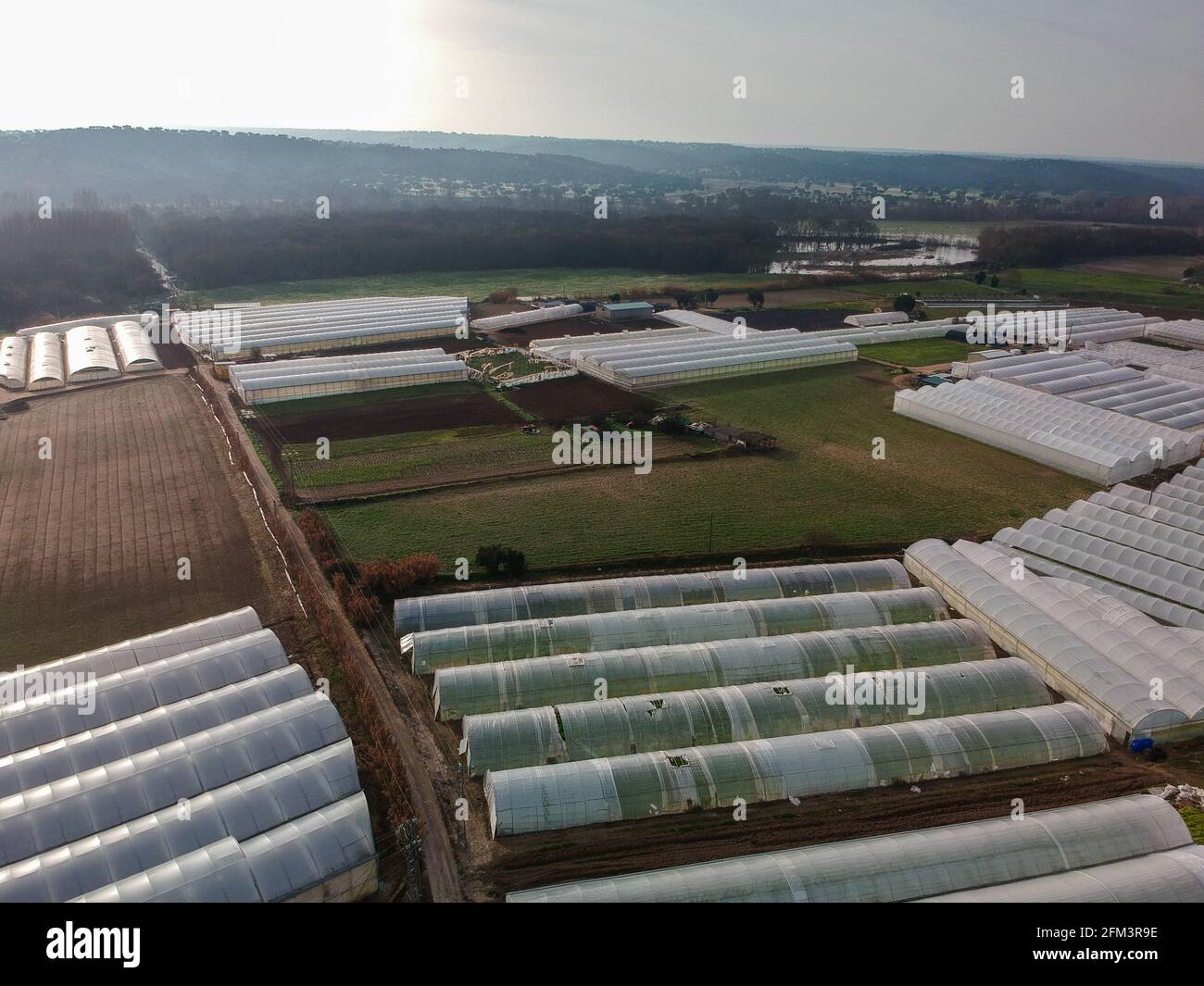Lines of greenhouses hi-res stock photography and images - Alamy