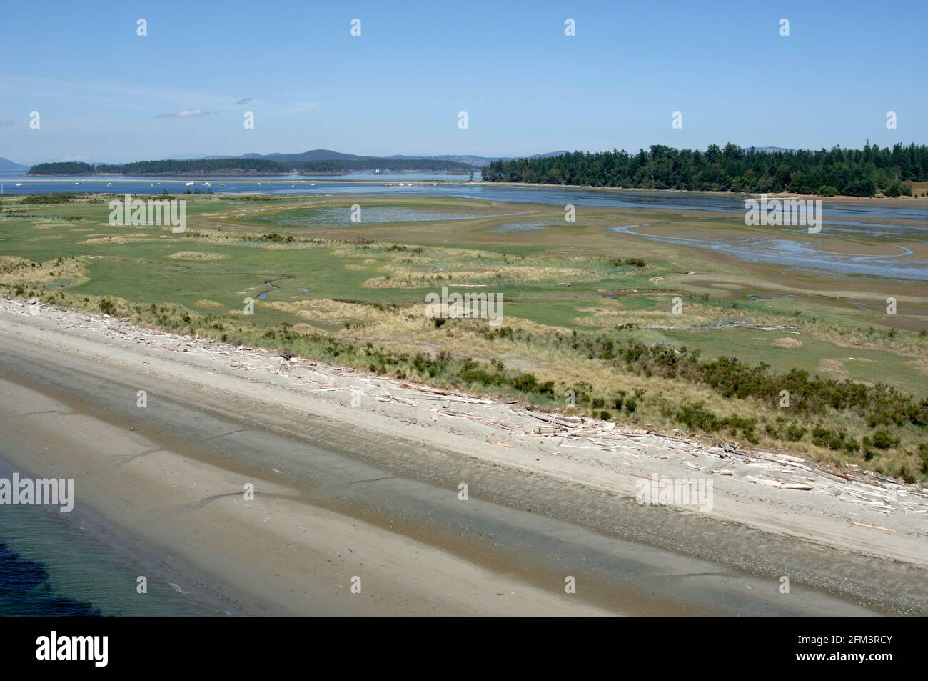 Sandy beach at Sidney Spit, Gulf Islands National Park Reserve of ...