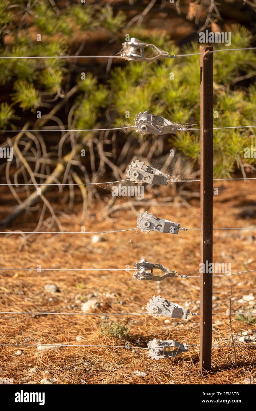Aligned New Zealand Fence Wire Strainers and a Waratah Fence Post Stock ...